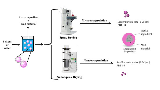 Processes | Free Full-Text | Encapsulation of Active Ingredients in Food Industry by Spray ...