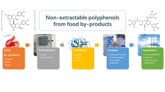 Processes | Free Full-Text | Non-Extractable Polyphenols from Food By ...