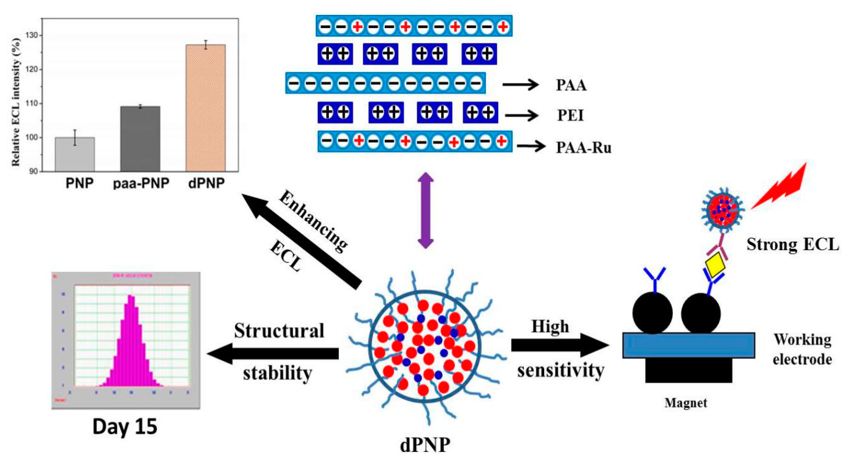 Electrochemiluminescence Enhancement and Particle Structure ...