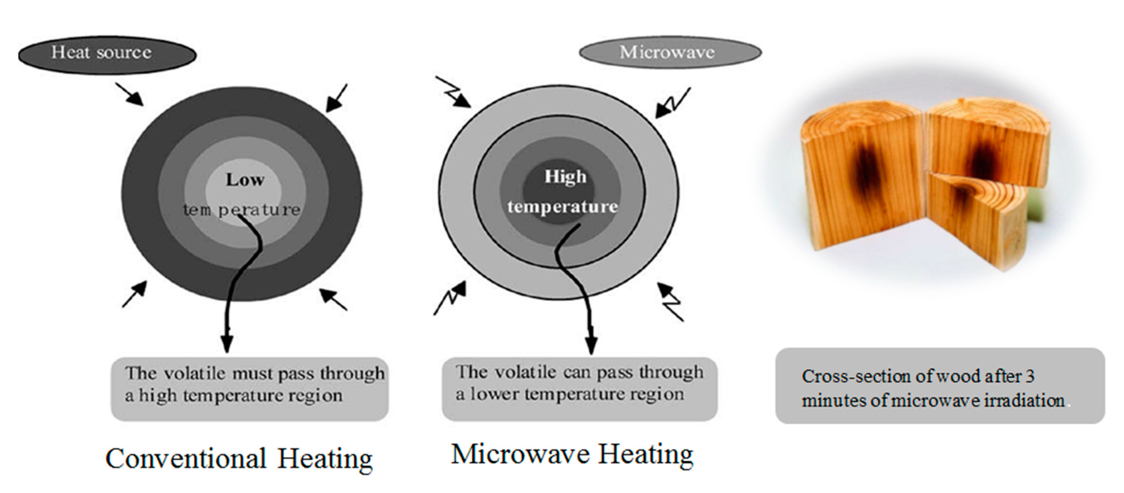 Microwave-Assisted Pyrolysis of Biomass Waste: A Mini Review