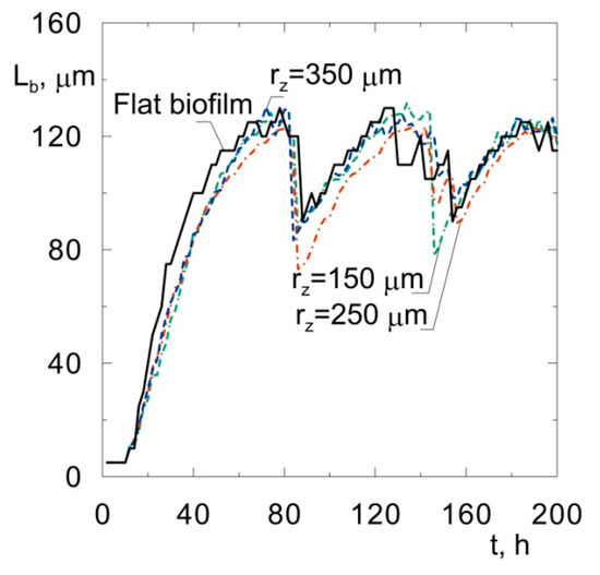 Modeling of Biofilm Growth on Fine Spherical Particles with the Use of ...