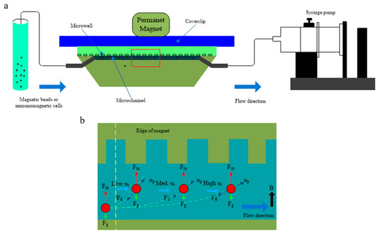 Processes | Free Full-Text | Recent Development of Microfluidic Technology for Cell Trapping in ...