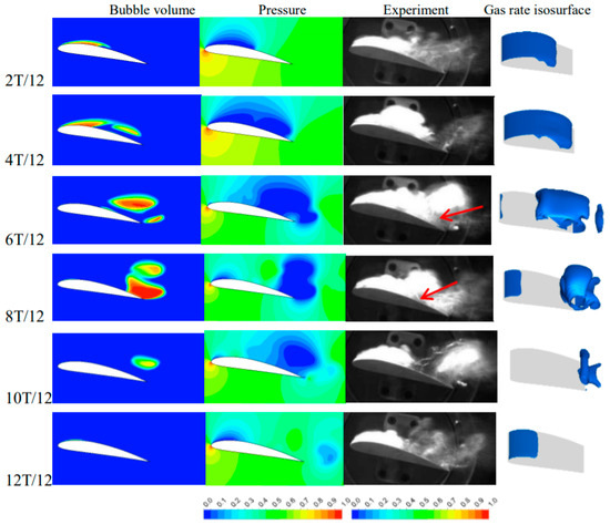 Transient Process and Micro-mechanism of Hydrofoil Cavitation Collapse