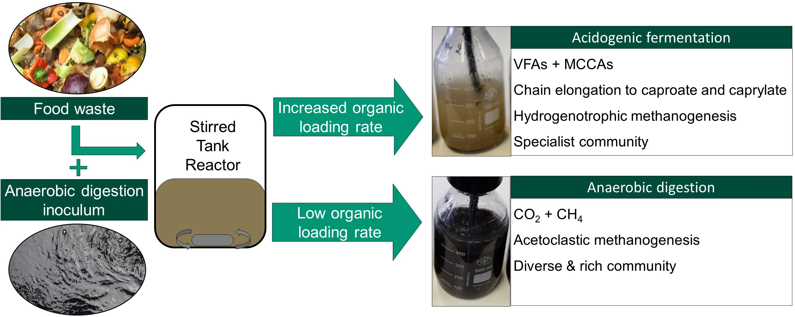 Processes | Free Full-Text | Adjusting Organic Load as a Strategy to ...