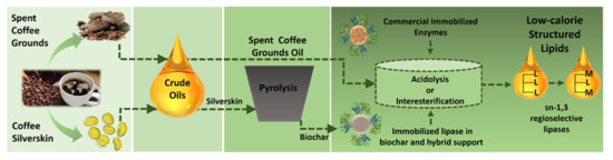 Processes | Special Issue : Biocatalysis, Enzyme and Process Engineering