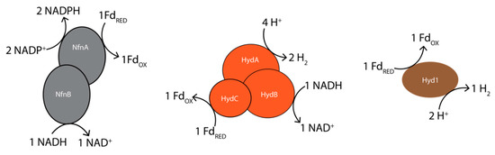 Fermentation of Organic Residues to Beneficial Chemicals: A Review of ...