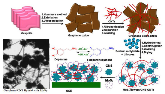 Review on Carbon Nanotube Varieties for Healthcare Application: Effect ...