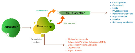 Processes | Free Full-Text | Microalgae Biomolecules: Extraction ...