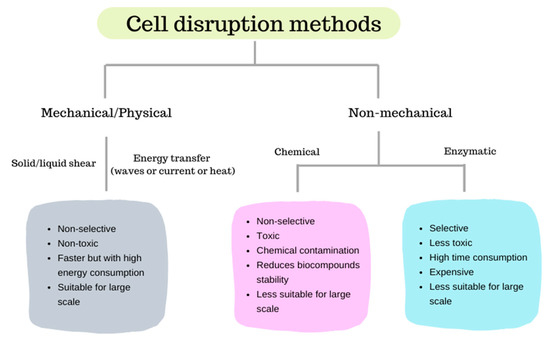 Processes | Free Full-Text | Microalgae Biomolecules: Extraction, Separation and Purification ...
