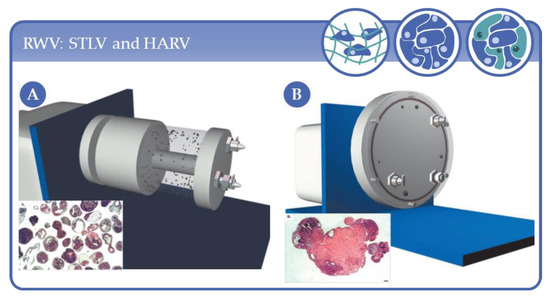 Advanced 3D Cell Culture Techniques in Micro-Bioreactors, Part II ...