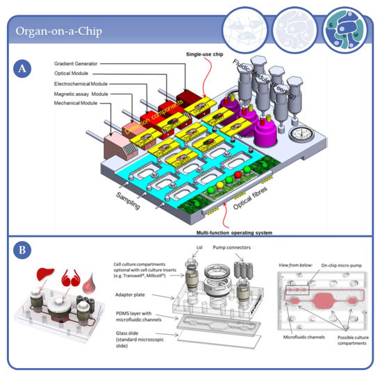 Advanced 3D Cell Culture Techniques in Micro-Bioreactors, Part II ...
