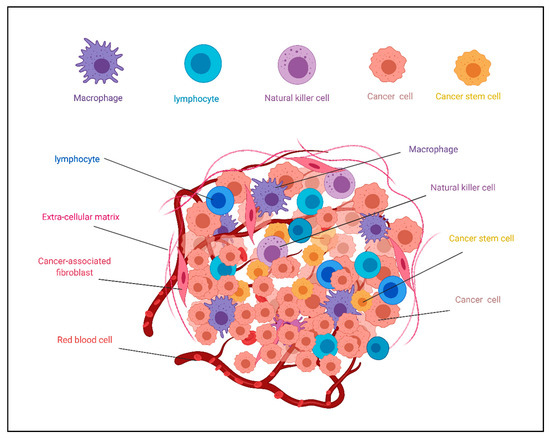 Processes | Special Issue : Advances in Hydrogel Scaffolding of Stem Cells