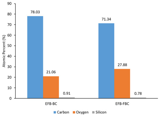 Surface Functionalization of Biochar from Oil Palm Empty Fruit Bunch ...