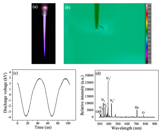 Tiny Cold Atmospheric Plasma Jet for Biomedical Applications