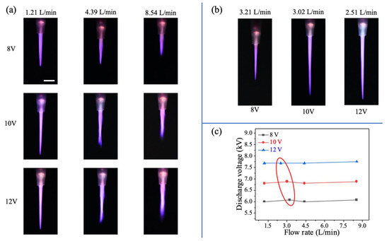 Tiny Cold Atmospheric Plasma Jet for Biomedical Applications