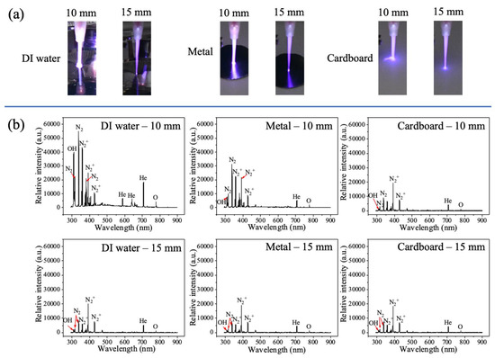 Tiny Cold Atmospheric Plasma Jet for Biomedical Applications