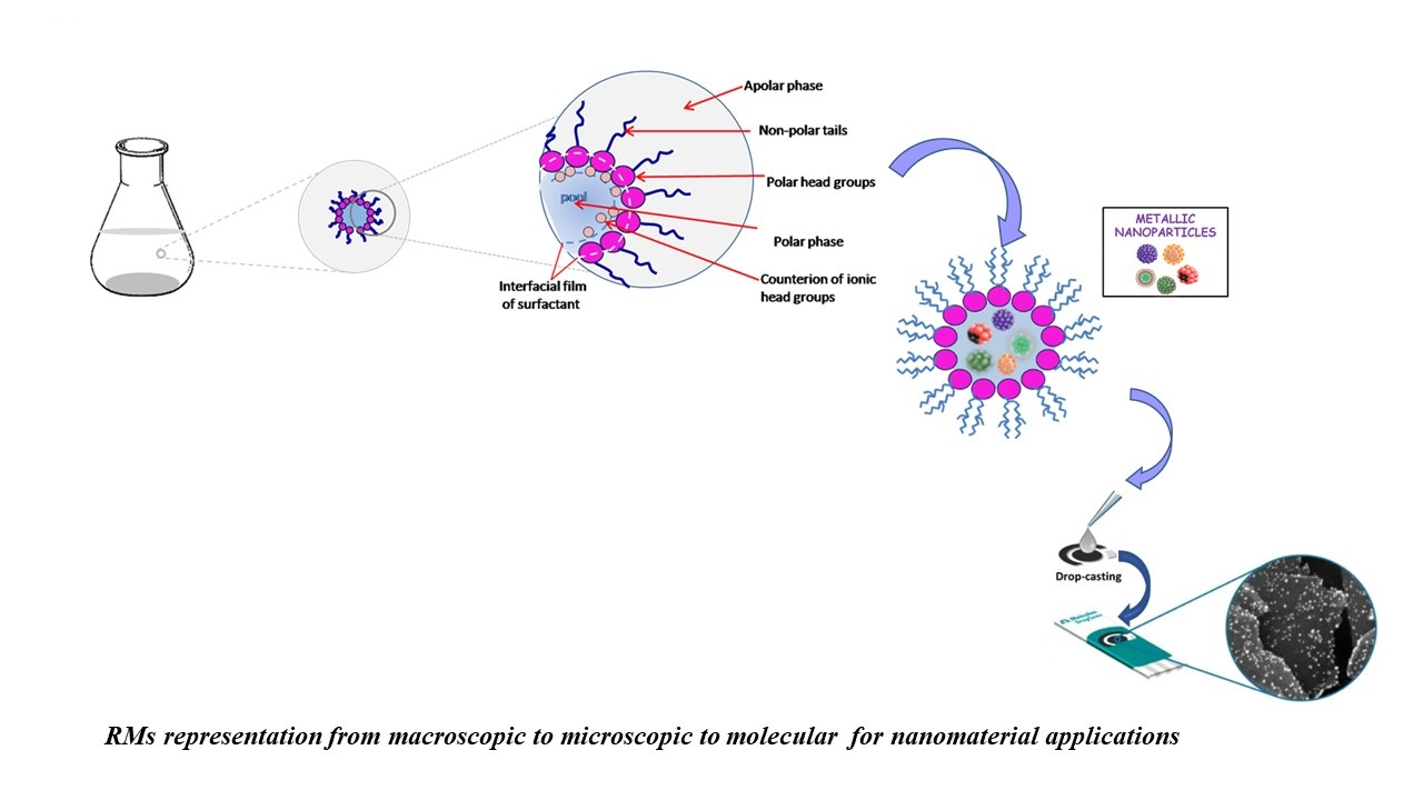 Processes | Free Full-Text | Versatility of Reverse Micelles: From ...
