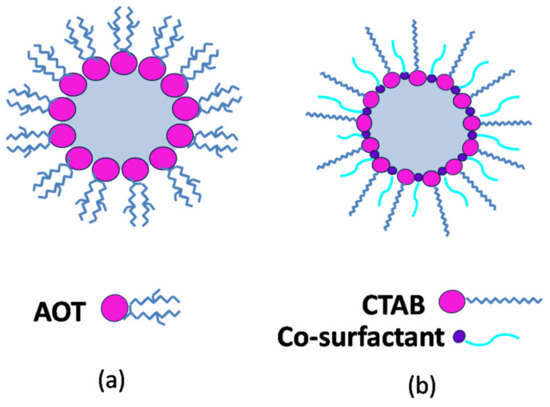 Versatility of Reverse Micelles: From Biomimetic Models to Nano (Bio ...