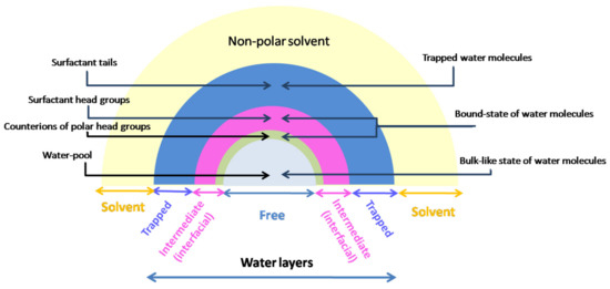 Versatility of Reverse Micelles: From Biomimetic Models to Nano (Bio ...
