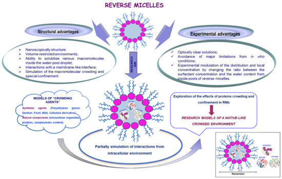 Versatility of Reverse Micelles: From Biomimetic Models to Nano (Bio ...