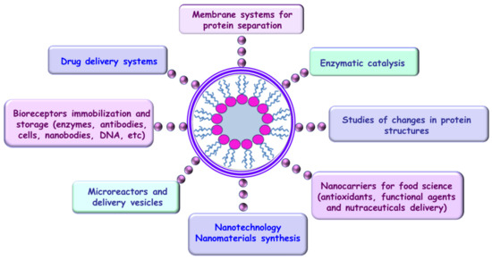 Versatility of Reverse Micelles: From Biomimetic Models to Nano (Bio ...