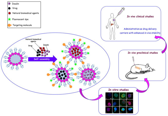 Versatility of Reverse Micelles: From Biomimetic Models to Nano (Bio ...