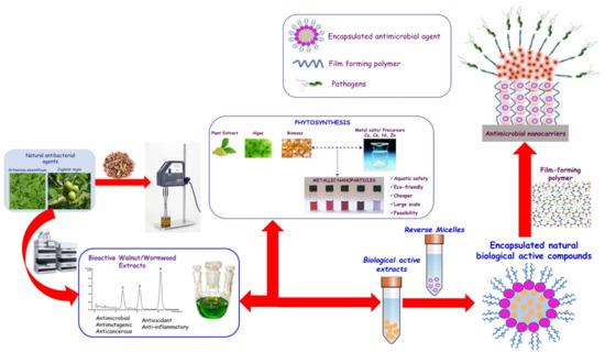 Versatility of Reverse Micelles: From Biomimetic Models to Nano (Bio ...