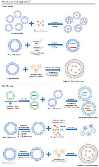 Overview and Update on Methods for Cargo Loading into Extracellular ...