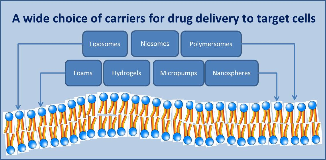 Processes | Free Full-Text | Drug Carriers: Classification ...