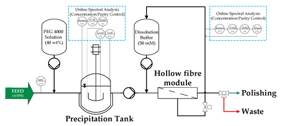 Process Analytical Technology for Precipitation Process Integration ...