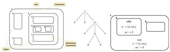 Processes | Special Issue : Modeling, Simulation and Design of Membrane ...