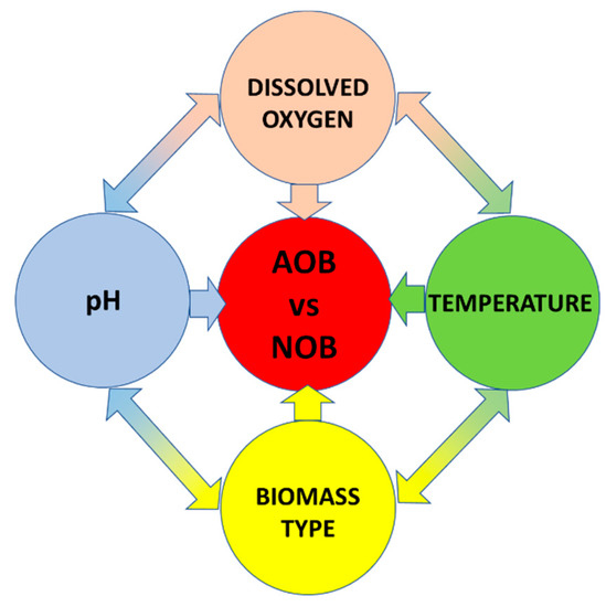 Processes | Free Full-Text | Development of Strategies for AOB and NOB ...