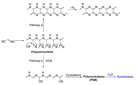 A Comprehensive Review of HCN-Derived Polymers