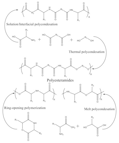 Achievements and Trends in Biocatalytic Synthesis of Specialty Polymers ...