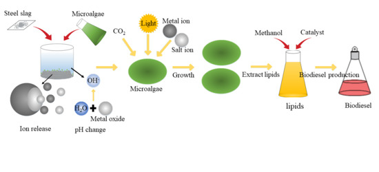 Processes | Free Full-Text | A Review on the Effect from Steel Slag on ...
