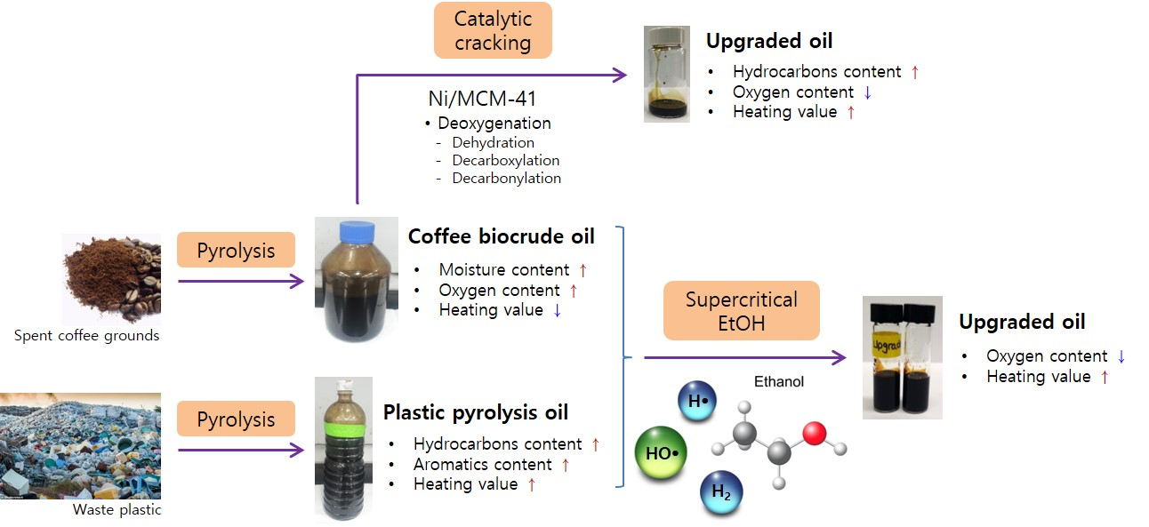 Processes | Free Full-Text | Upgrading of Coffee Biocrude Oil Produced ...