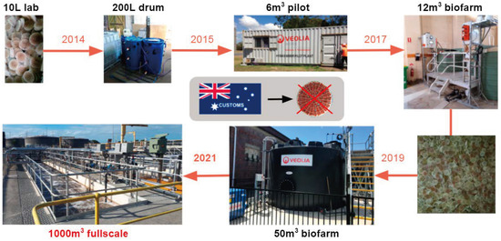 Lessons Learned from 10 Years of ANITA Mox for Sidestream Treatment