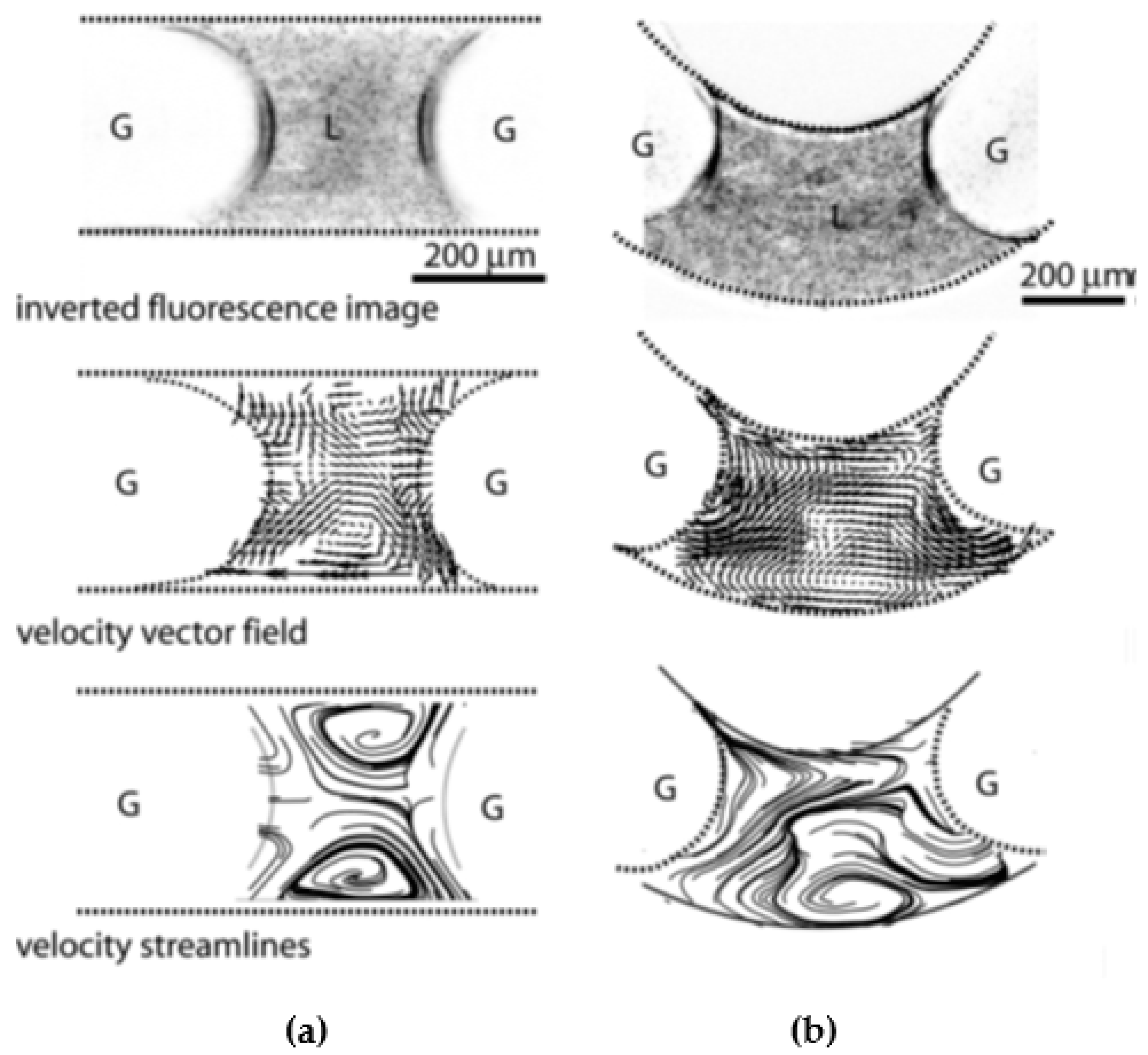 A Review on the Hydrodynamics of Taylor Flow in Microchannels ...
