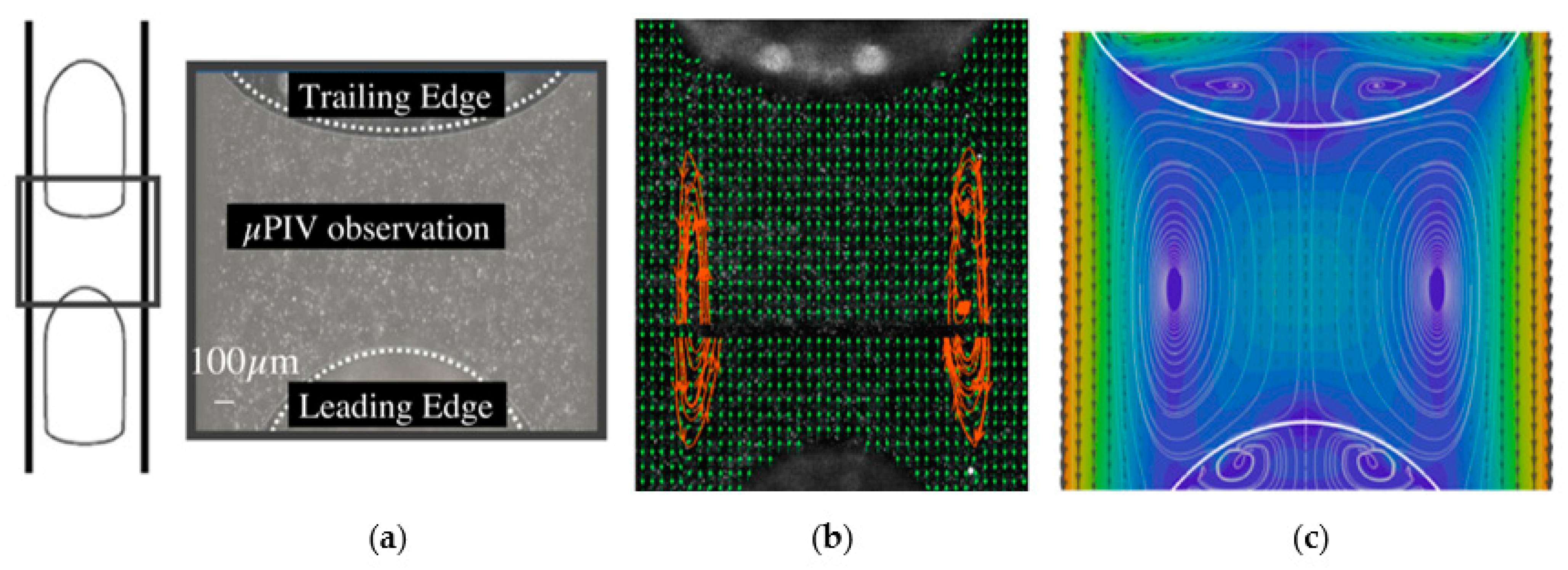 A Review on the Hydrodynamics of Taylor Flow in Microchannels ...