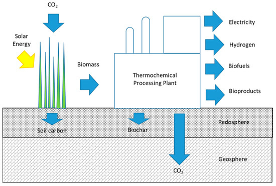 The Role of Pyrolysis and Gasification in a Carbon Negative Economy