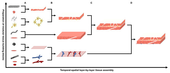 Processes | Free Full-Text | A Paradigm Shift in Tissue Engineering ...