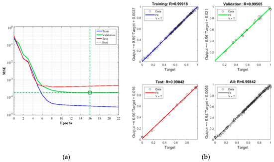 Processes | Free Full-Text | Fundamental Understanding of Tea Growth ...