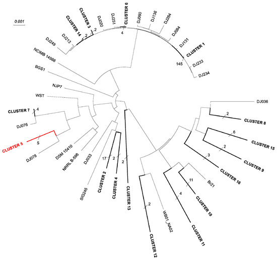 Diversity and Evolution of Clostridium beijerinckii and Complete Genome ...