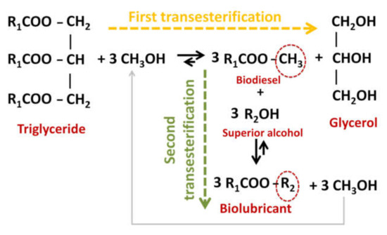 Biolubricant Production through Double Transesterification: Reactor ...