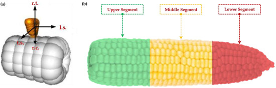 Discrete Element Simulation Based on Elastic–Plastic Damping Model of ...