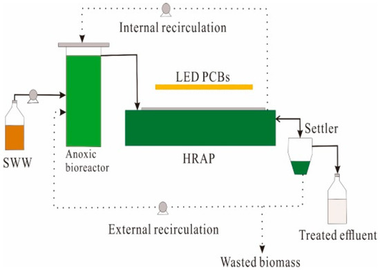 Analysis of the Status and Improvement of Microalgal Phosphorus Removal ...