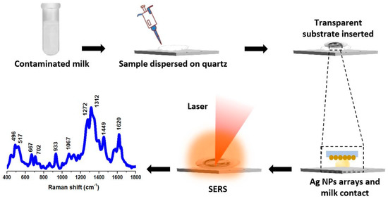 Technological Advancements for the Detection of Antibiotics in Food ...