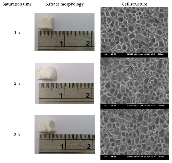 Preparation of Microcellular Foams by Supercritical Carbon Dioxide: A ...