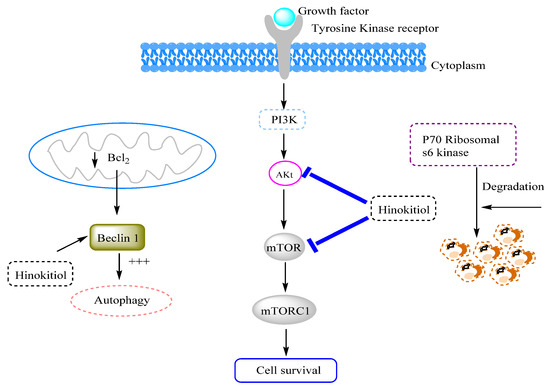 Health Benefits and Pharmacological Properties of Hinokitiol