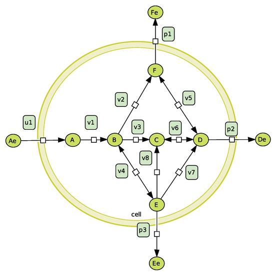 Combining Kinetic and Constraint-Based Modelling to Better Understand Metabolism Dynamics